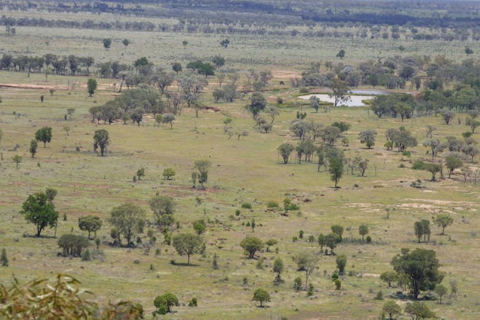 Rural Land & Properties For Sale | Elders QLD Rural Real Estate