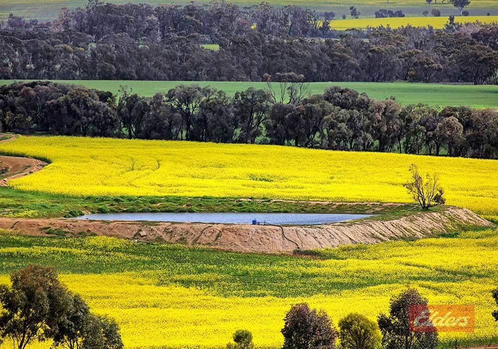 163 Cuballing Road West , Cuballing, WA, 6311 – Sold | Elders Real Estate