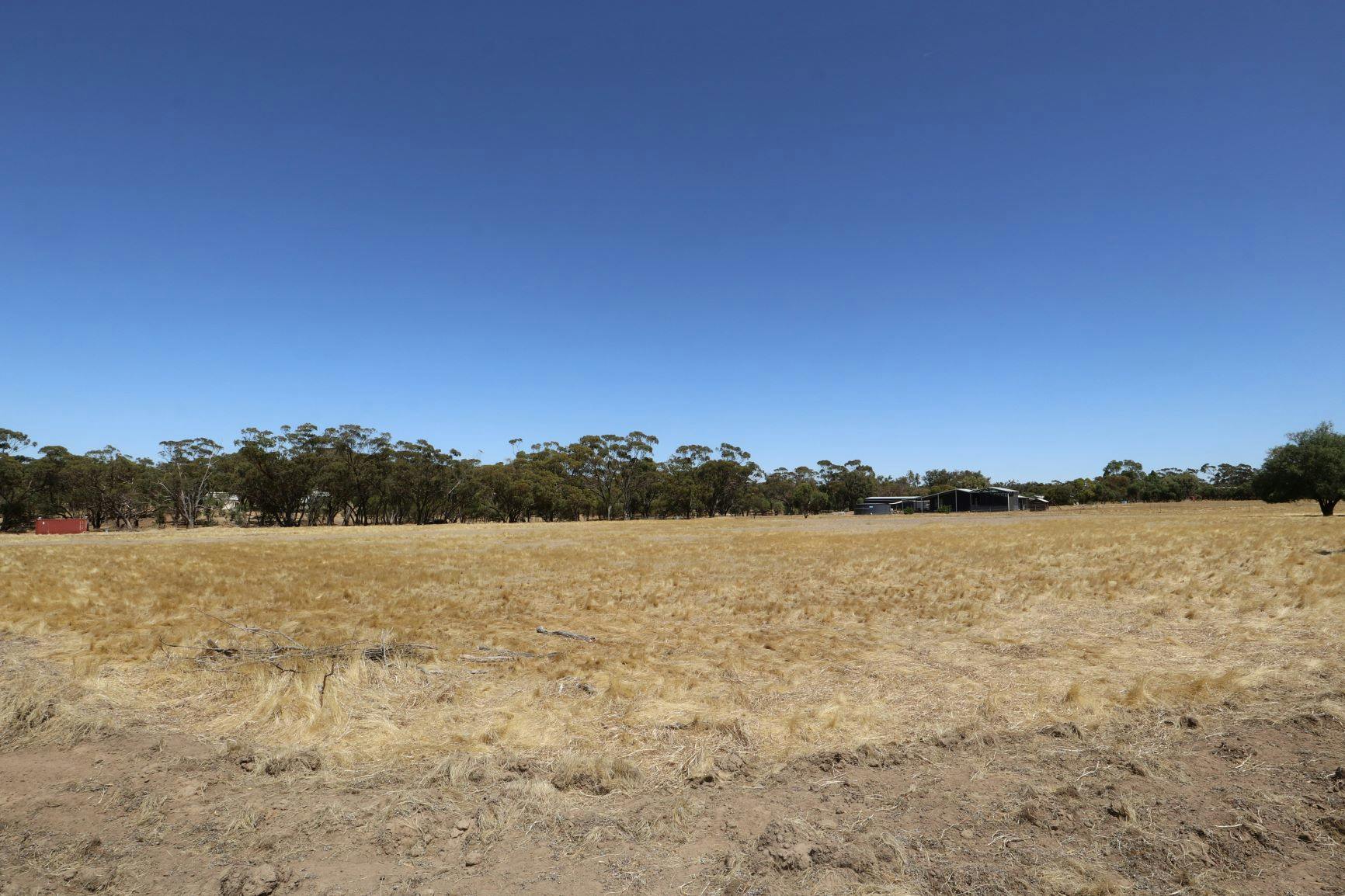 13 Ridley Street, Cuballing, WA, 6311 – Sold | Elders Real Estate