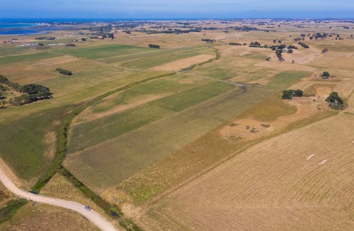 Tom Luxton, Real Estate Branch Manager | Elders Real Estate Warrnambool