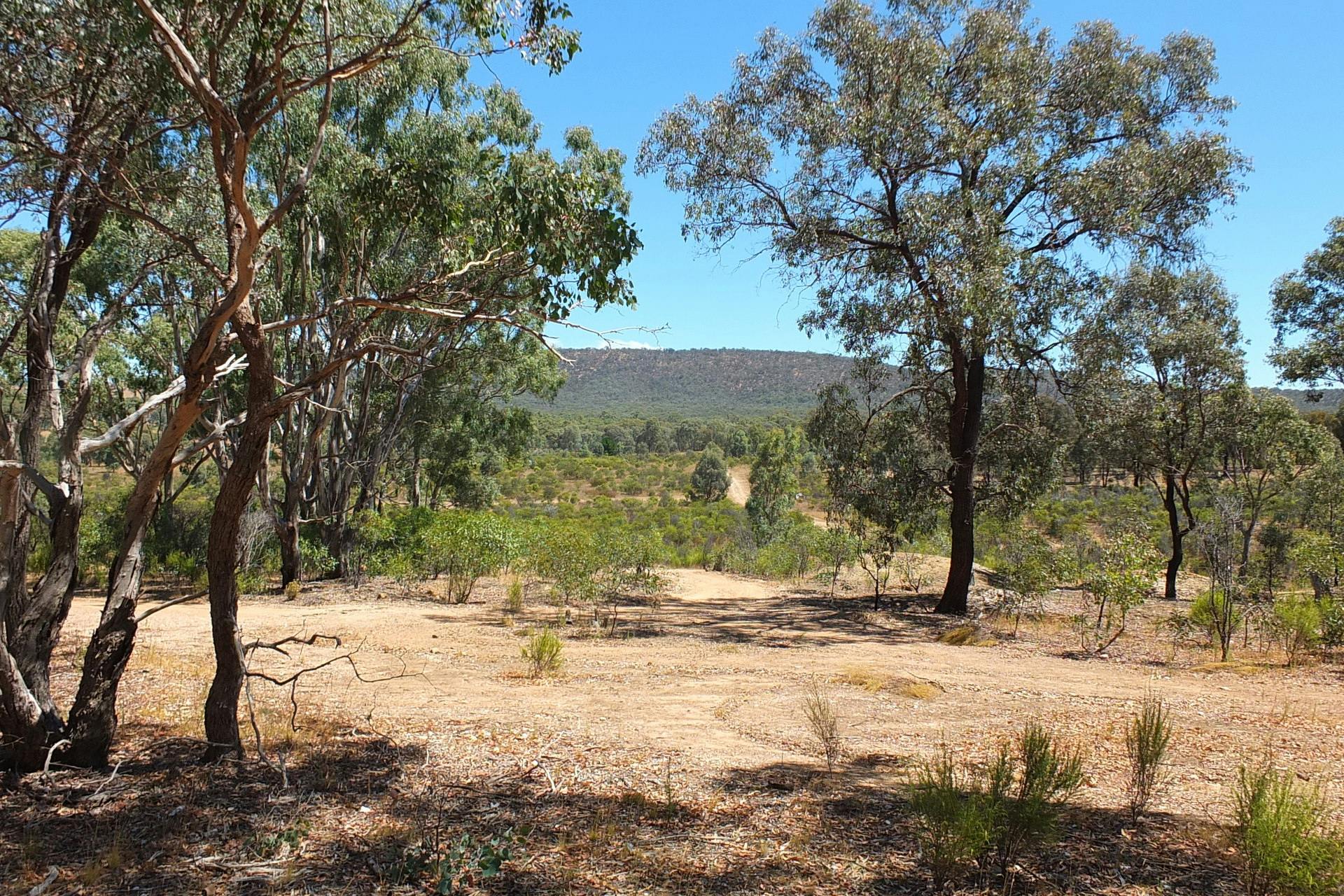 CA 44 Sec Moyreisk Road, Redbank, VIC, 3477 – Sold | Elders Real Estate