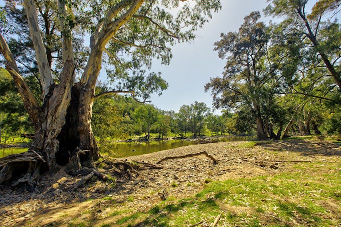 Elders Real Estate Yass | Your Local Real Estate Experts