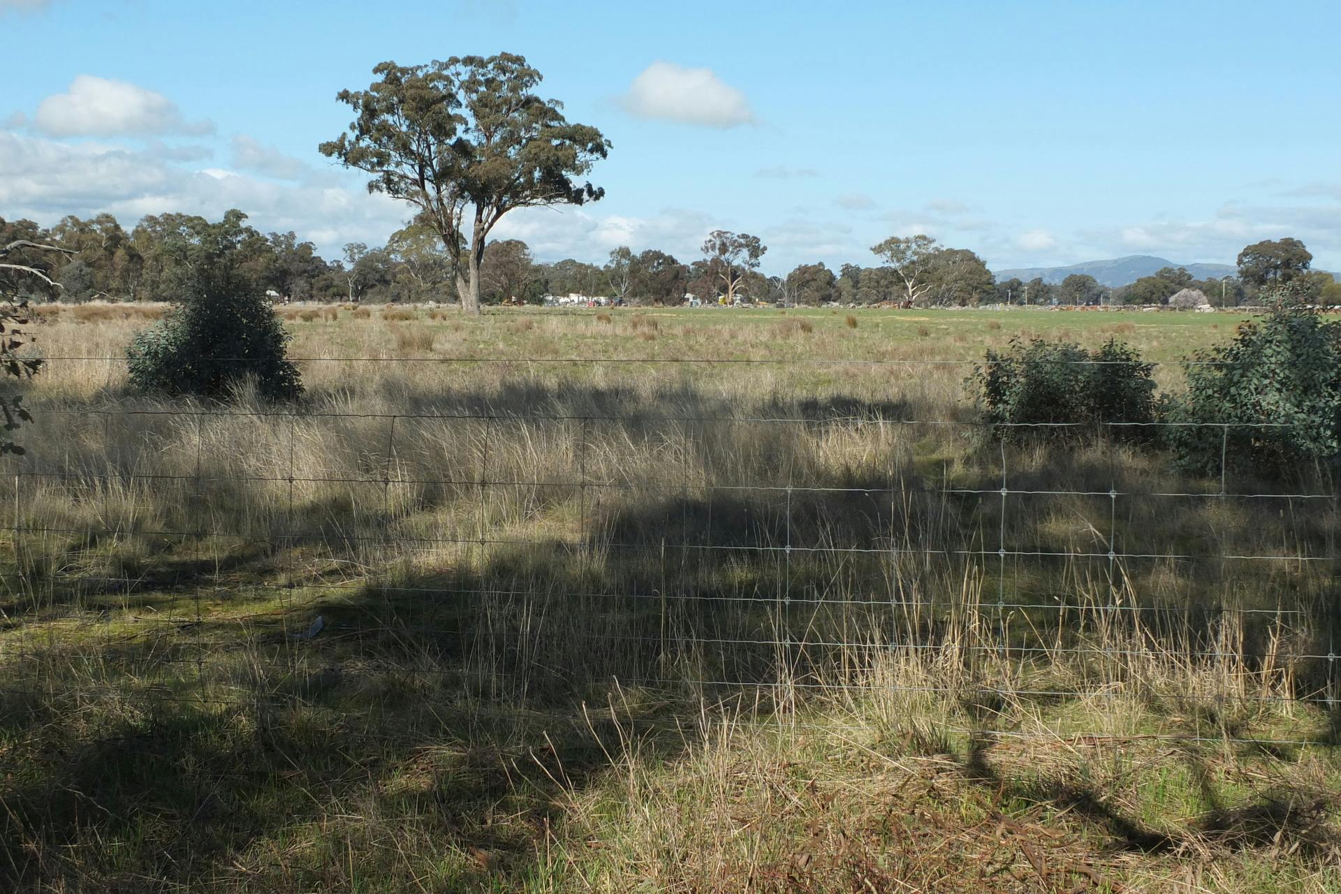 2/TP744688 Vinoca Road, Avoca, VIC, 3467 – Sold | Elders Real Estate