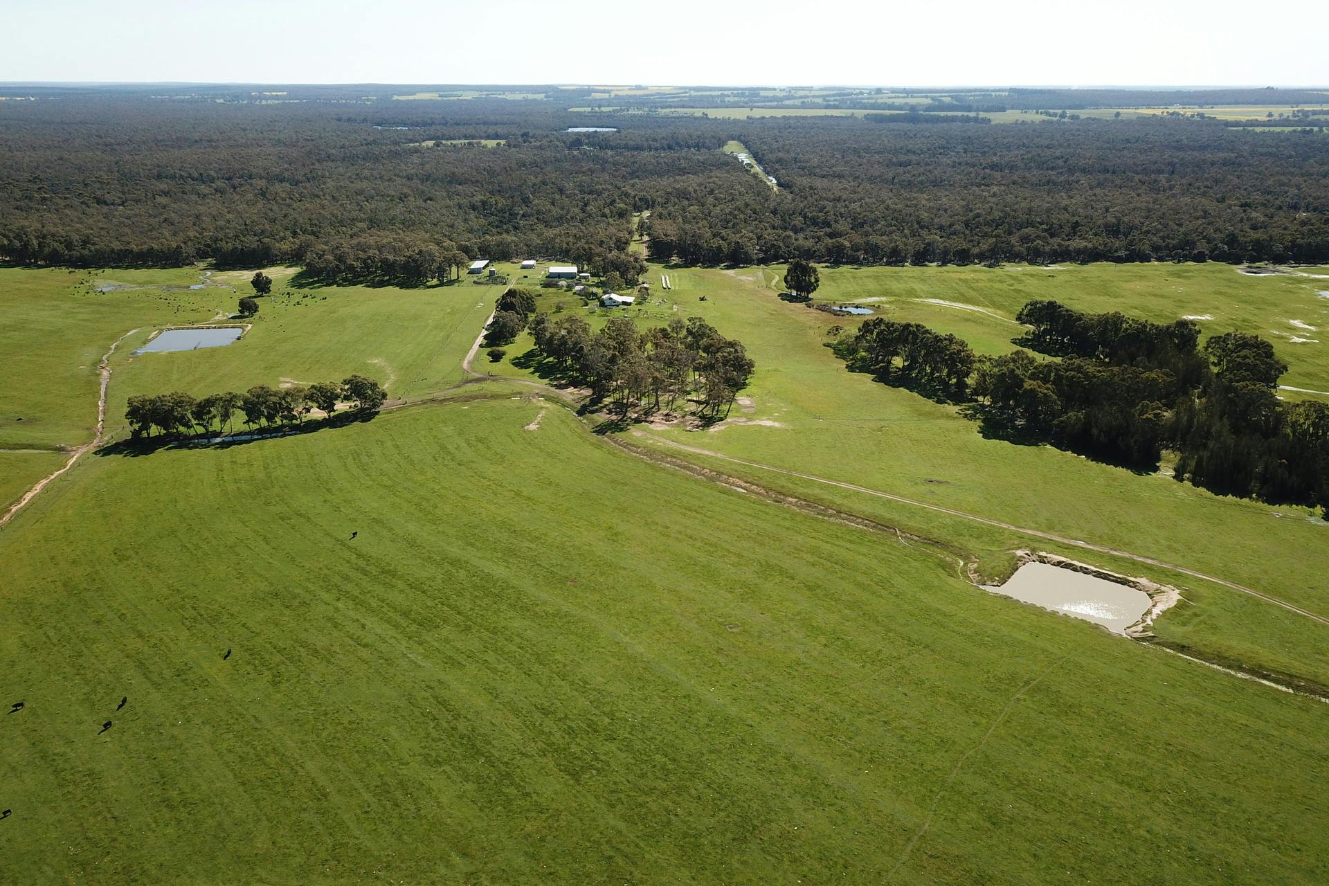 314 Yarnup Road, Frankland River, WA, 6396 – Sold | Elders Real Estate