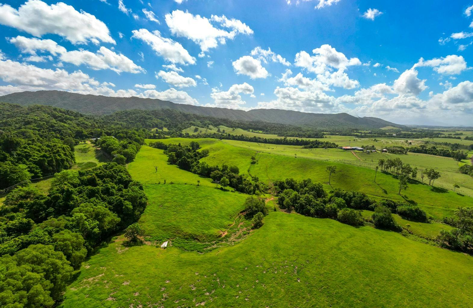 104 Warrubullen Road, Warrubullen, QLD, 4871 – For Sale | Elders Real ...