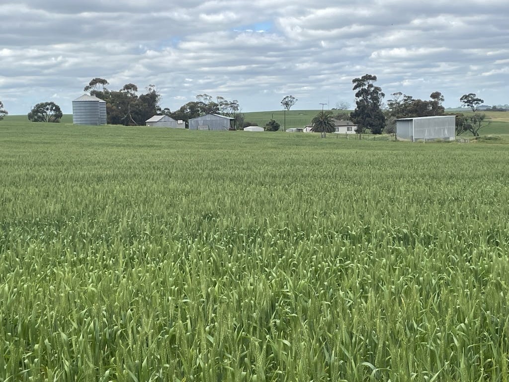 153 Wongamine Road, Buckland, WA, 6401 – Sold | Elders Real Estate