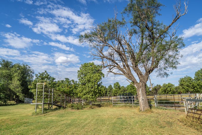 Elders Real Estate Dubbo Rural | Your Local Real Estate Experts