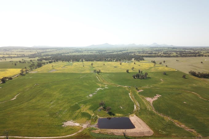 David Treeby, Rural Sales Representative | Elders Real Estate Albany