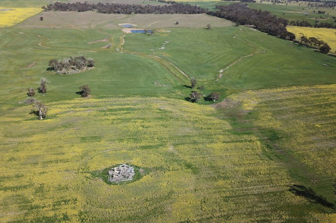 David Treeby, Rural Sales Representative | Elders Real Estate Albany