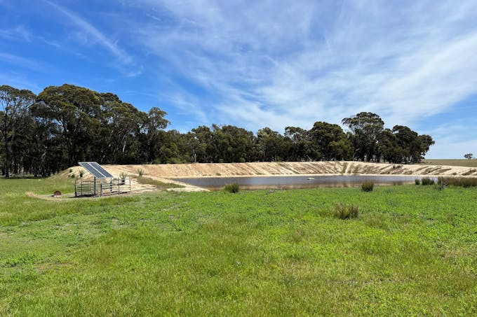 David Treeby, Rural Sales Representative | Elders Real Estate Albany