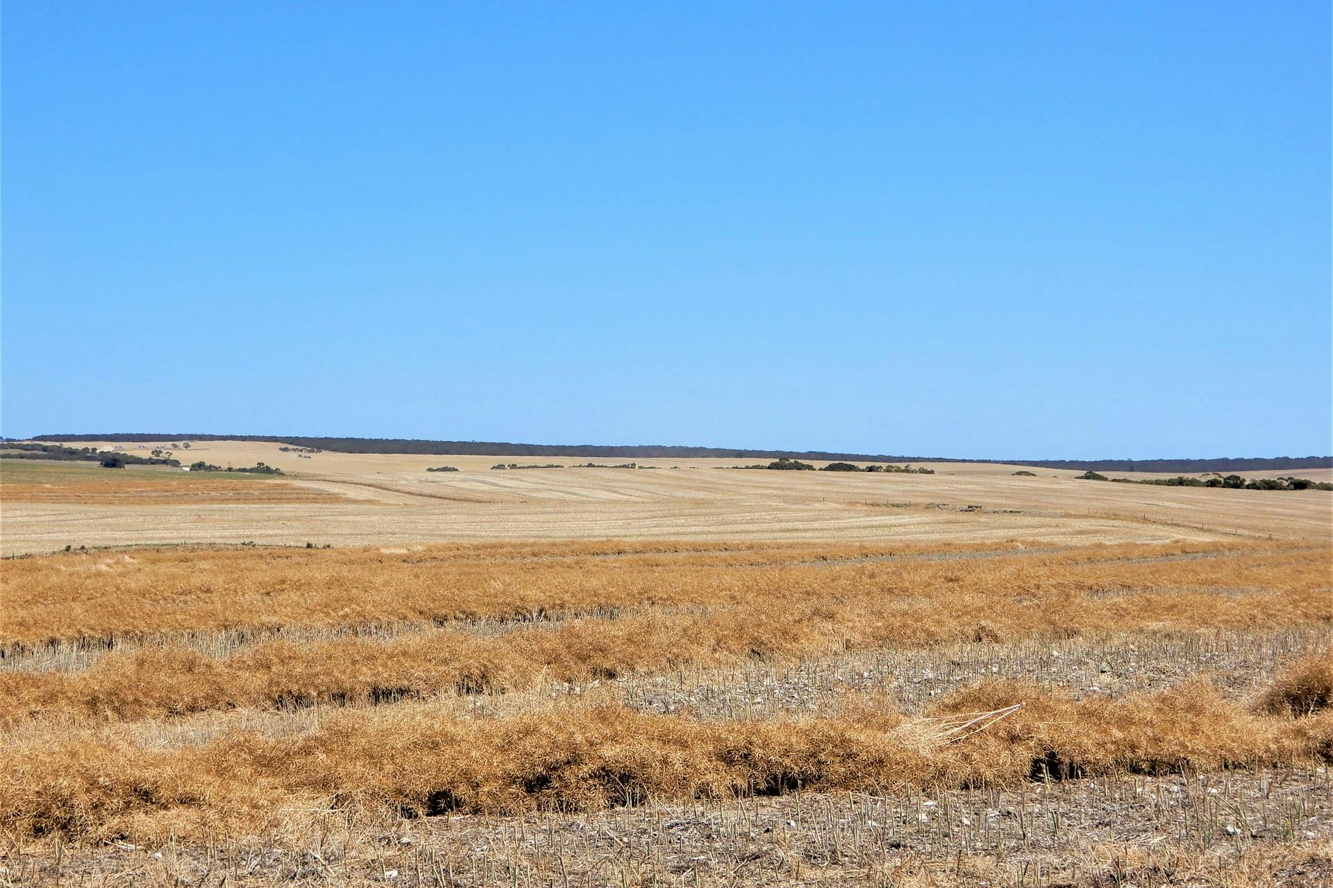 3050 Yumali Road, Yumali, SA, 5261 – Sold | Elders Real Estate