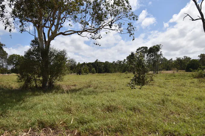 Elders Real Estate Mackay Rural | Your Local Real Estate Experts