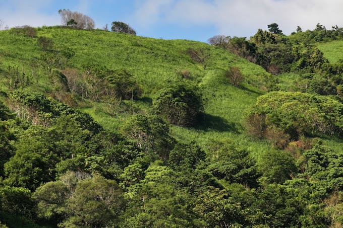 Rural Land & Properties For Sale | Elders Real Estate Mackay Rural