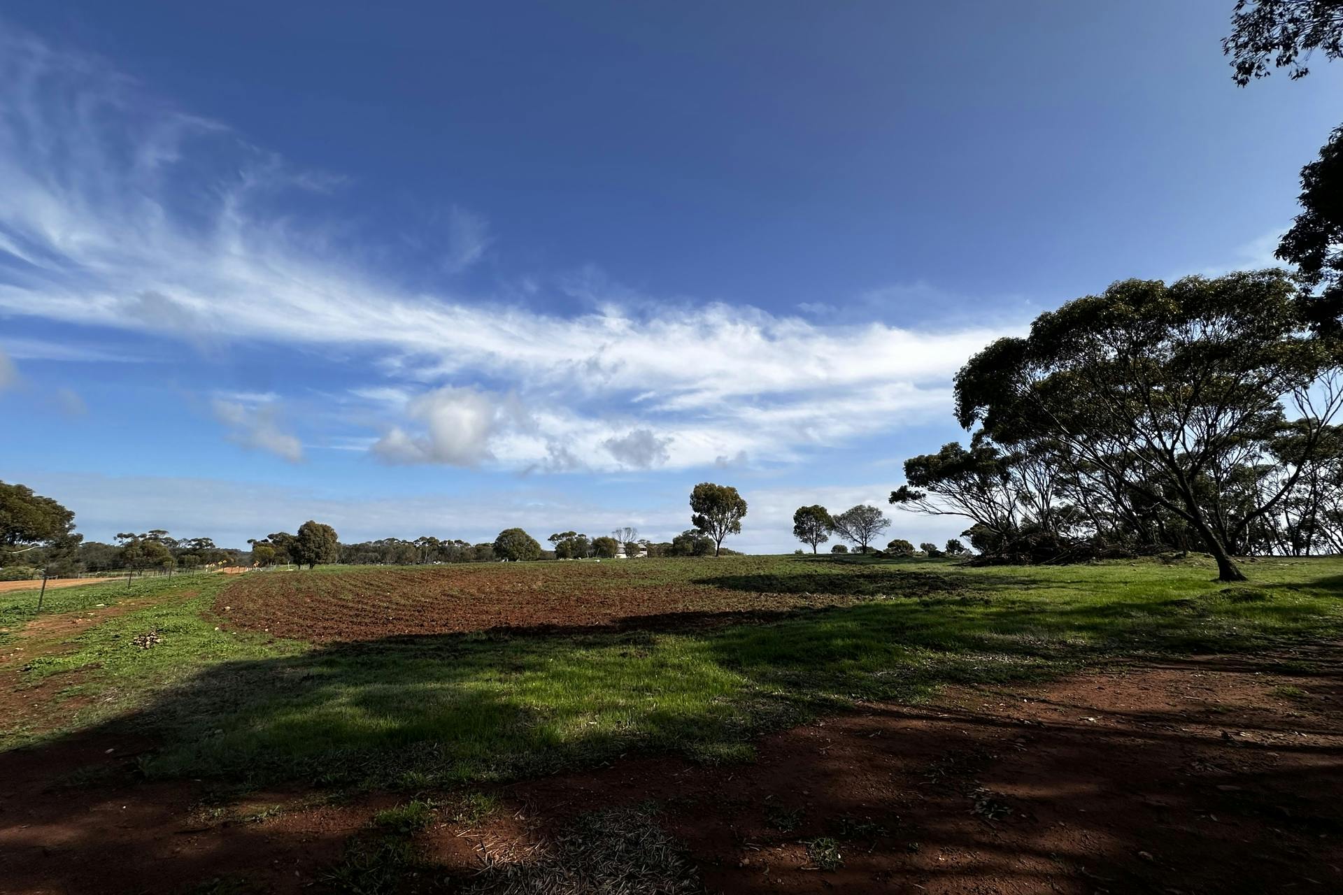 88 Cuballing Street, Cuballing, WA, 6311 – Sold | Elders Real Estate