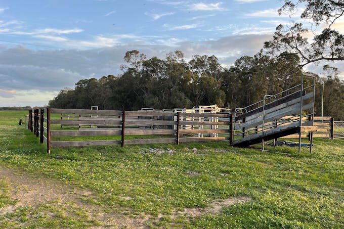 David Treeby, Rural Sales Representative | Elders Real Estate Albany