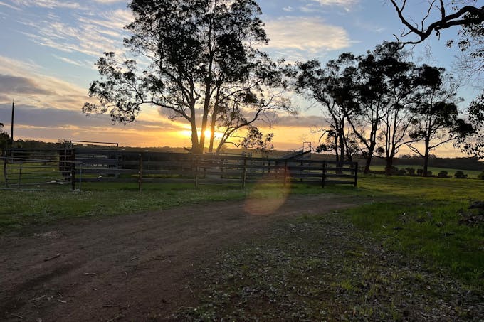 David Treeby, Rural Sales Representative | Elders Real Estate Albany