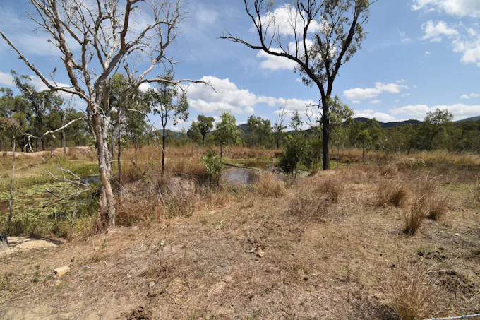 Elders Real Estate Mackay Rural | Your Local Real Estate Experts