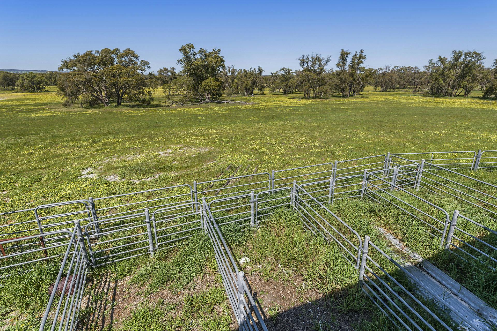 577 Rogers Road, Mogumber, WA, 6506 – For Sale | Elders Real Estate