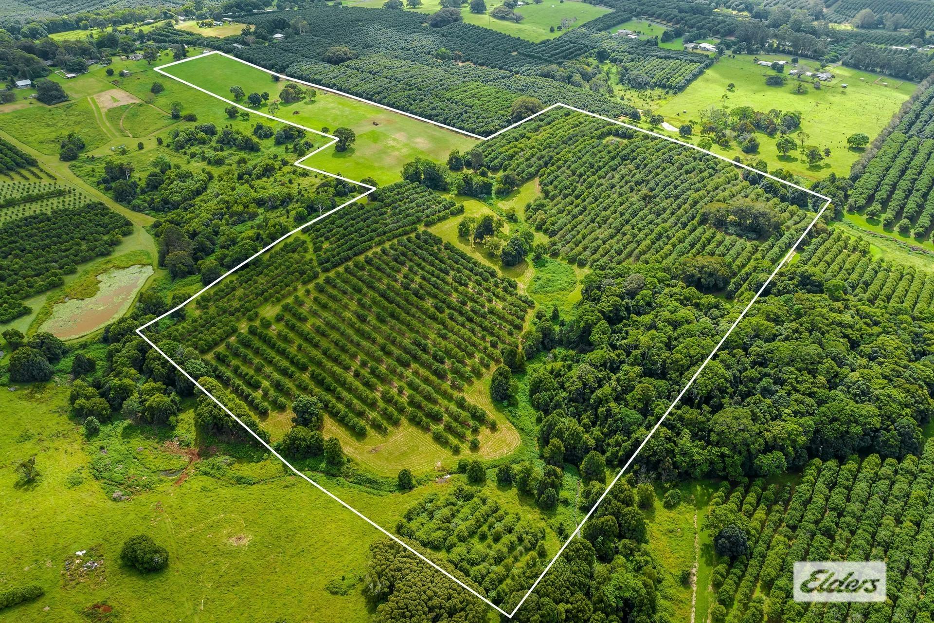 Lot 2, 789 Tregeagle Road, Tregeagle, NSW, 2480 – Sold | Elders Real Estate