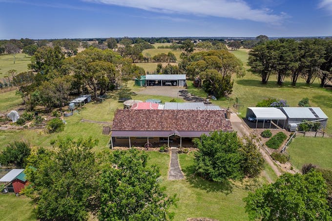 Elders Real Estate Hamilton | Your Local Real Estate Experts