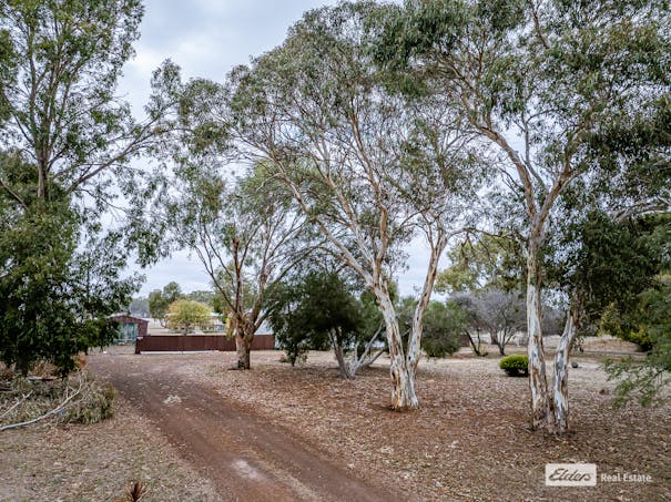 Elders Real Estate Naracoorte | Your Local Real Estate Experts