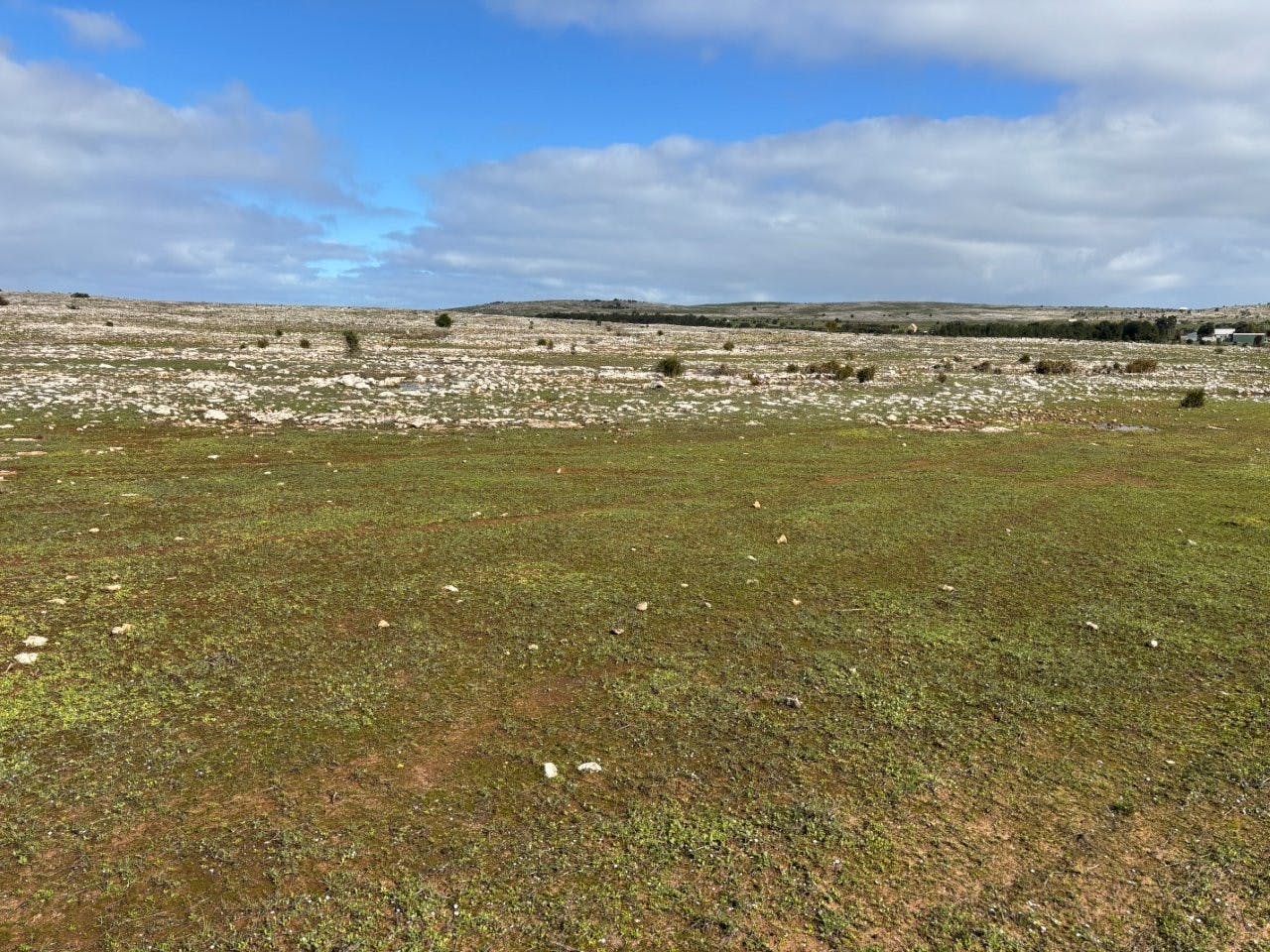 317/Nowhere Else Road, Sheringa, SA, 5607 – Sold | Elders Real Estate