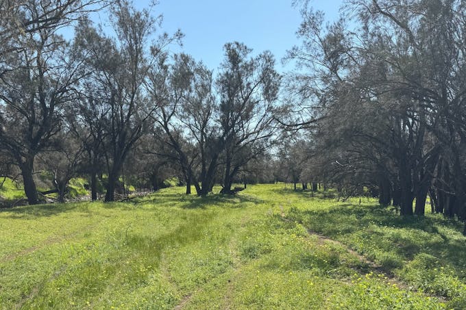 Elders Real Estate WA Rural & Metro | Your Local Real Estate Experts