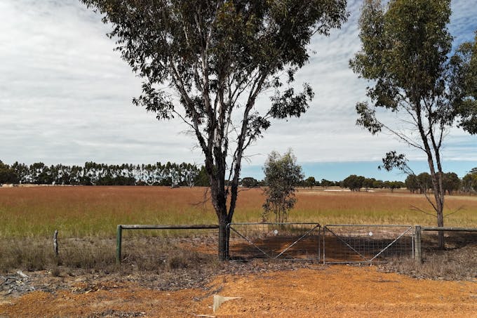 Elders Real Estate Katanning | Your Local Real Estate Experts