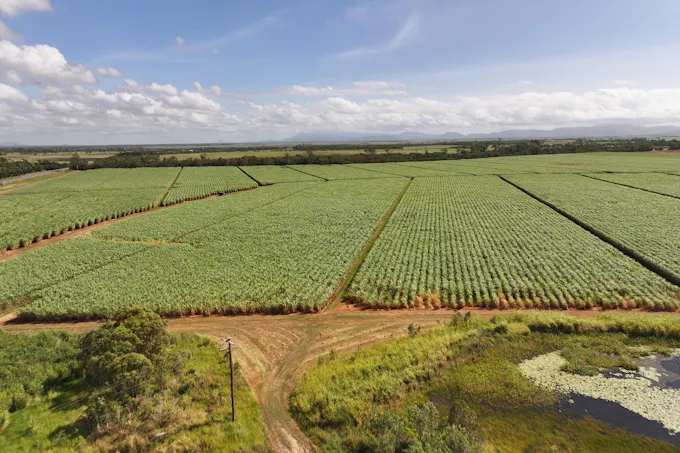 Elders Real Estate Mackay Rural | Your Local Real Estate Experts