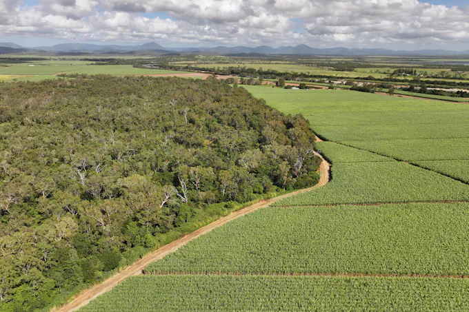 Elders Real Estate Mackay Rural | Your Local Real Estate Experts