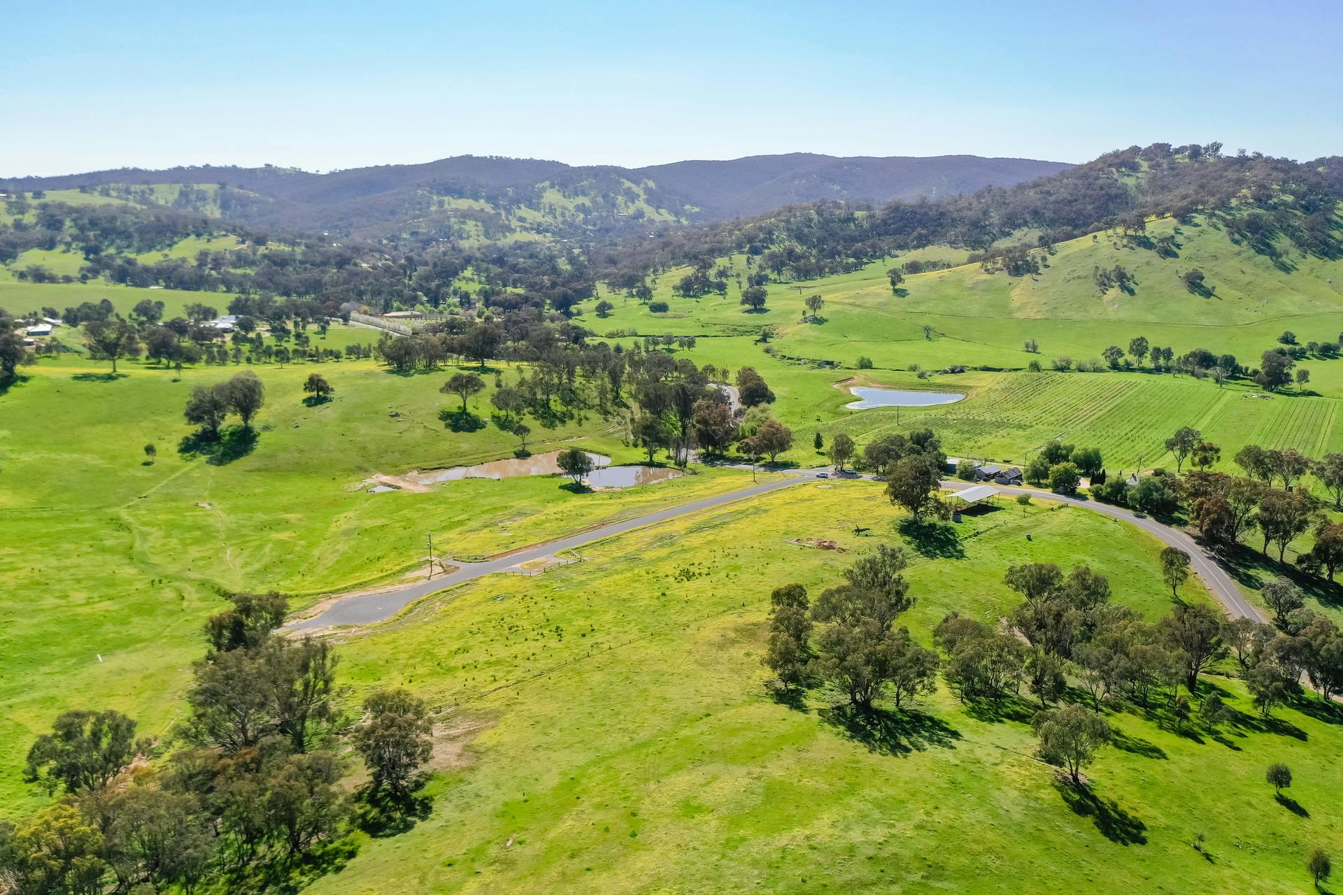 Yarallah Court, Splitters Creek, NSW, 2640 – Sold | Elders Real Estate