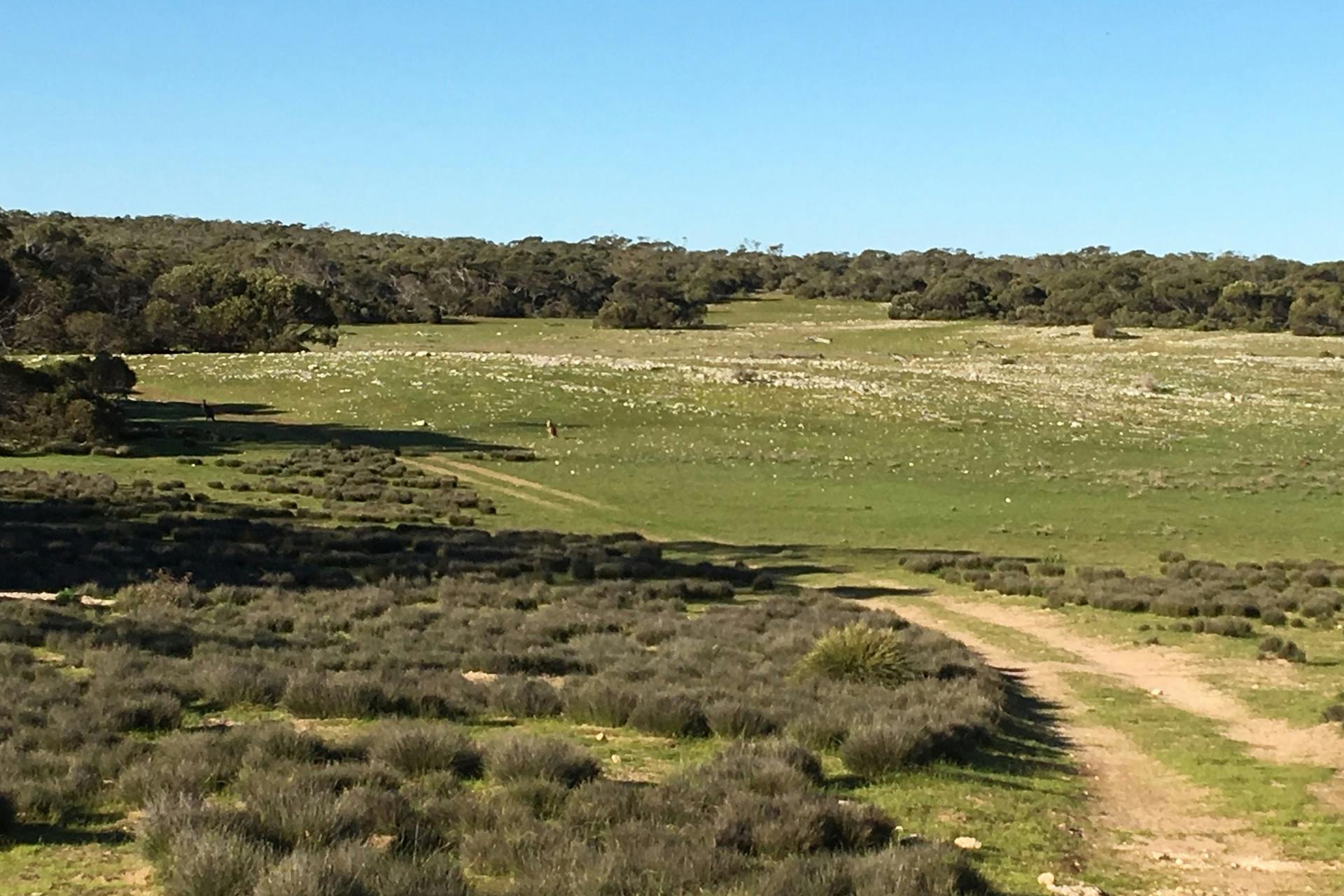 Section 266 Hundred Of Ward , Bramfield, SA, 5670 – Sold | Elders Real ...