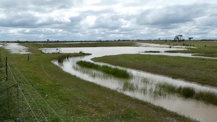 David Treeby, Principal – Rural Sales | Elders Real Estate Albany