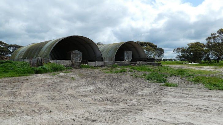 David Treeby, Principal – Rural Sales | Elders Real Estate Albany