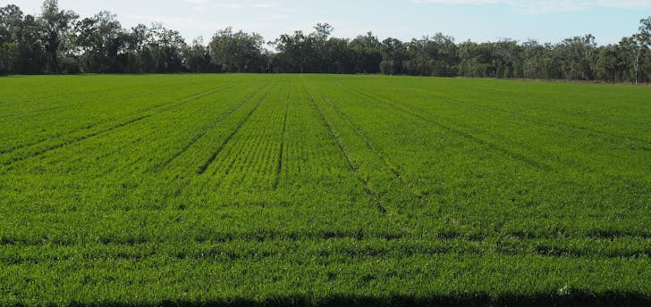 Rural Land & Properties For Sale | Elders QLD Rural Real Estate