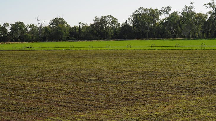 Rural Land & Properties For Sale | Elders QLD Rural Real Estate