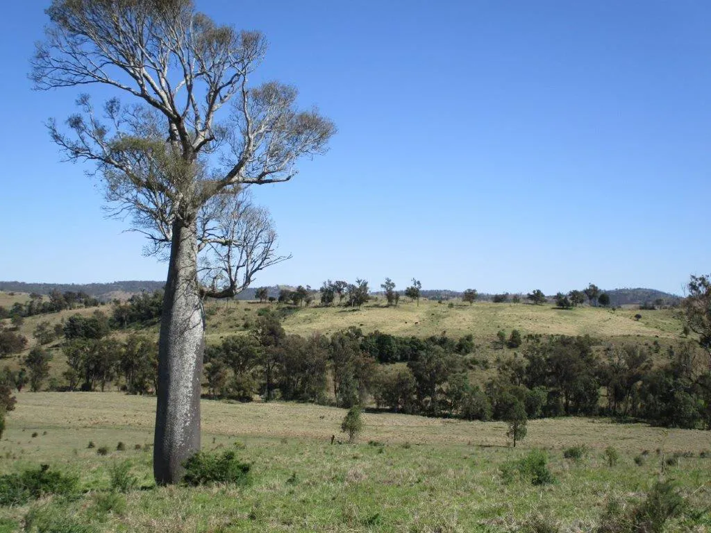 609 Acres , Maclagan, QLD, 4352 – Sold | Elders Real Estate