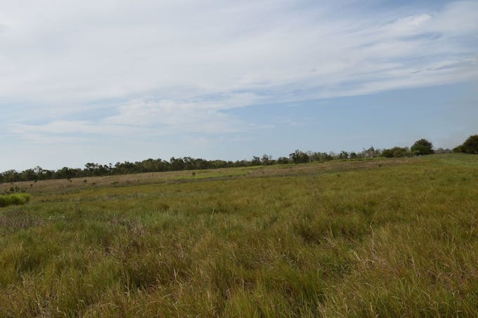 Elders Real Estate Mackay Rural | Your Local Real Estate Experts