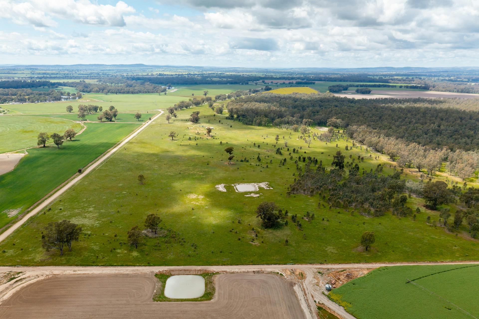 29 Berry Jerry Road, Collingullie, NSW, 2650 – Sold | Elders Real Estate