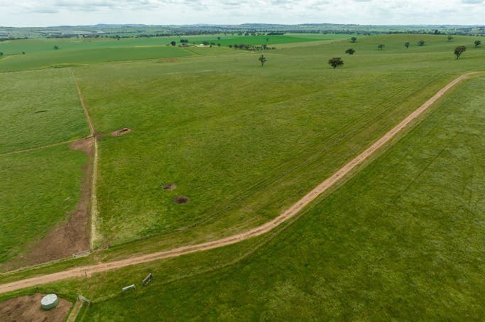 Angus Macleod, Real Estate Sales Representative | Elders Real Estate ...