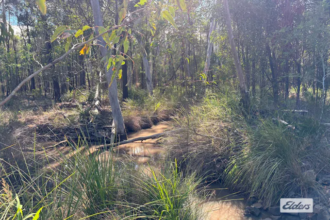 Residential Properties For Sale | Elders Real Estate Gatton
