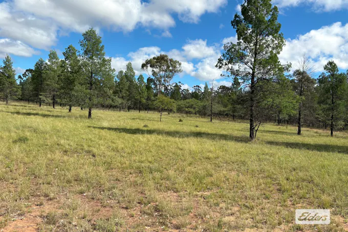 Residential Properties For Sale | Elders Real Estate Gatton
