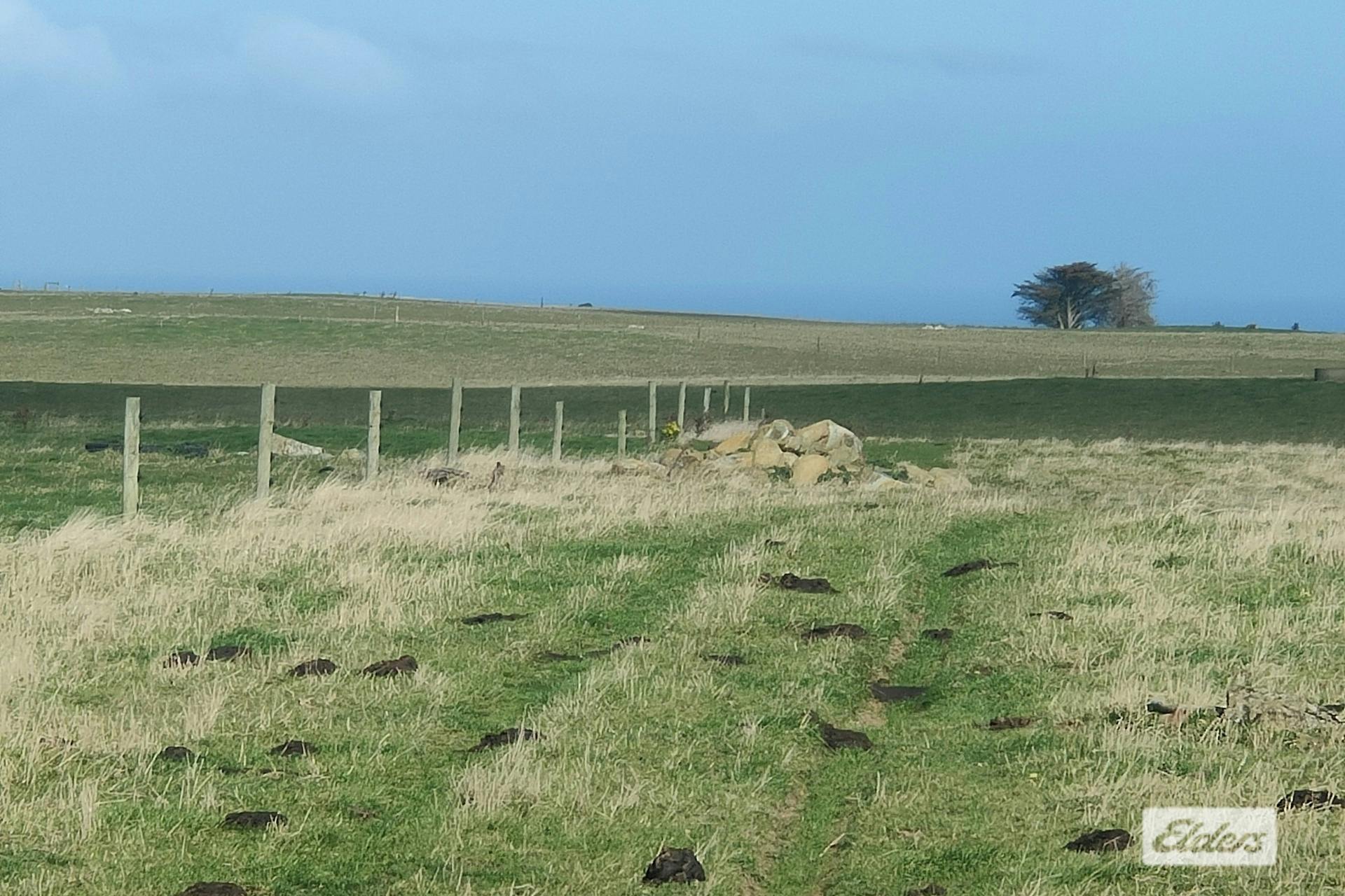 2680 Grassy Road, Lymwood, TAS, 7256 – Sold | Elders Real Estate