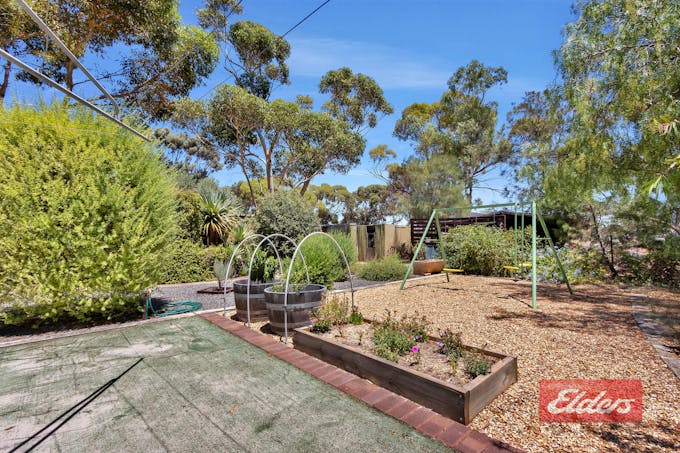 Christopher Hurst, Sales Consultant | Elders Real Estate Gawler