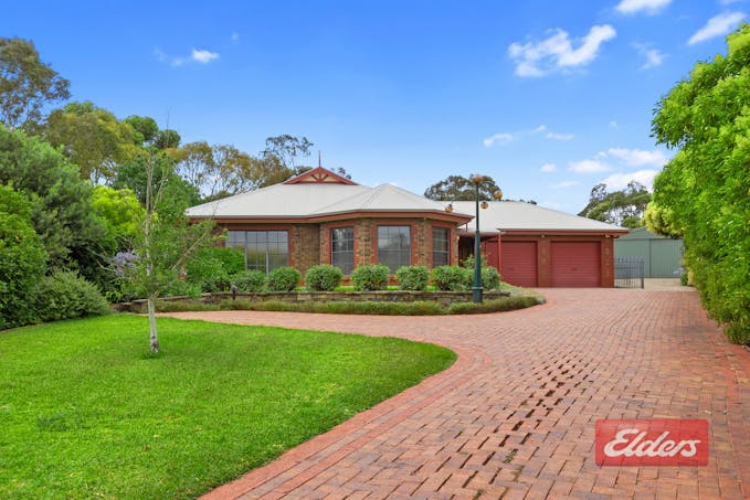 Christopher Hurst, Sales Consultant | Elders Real Estate Gawler